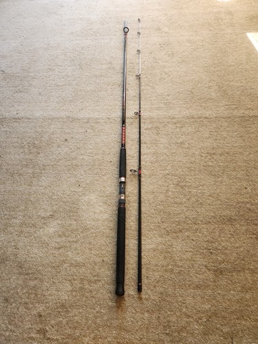 Silstar Power tip 10 foot fishing rod | eBay