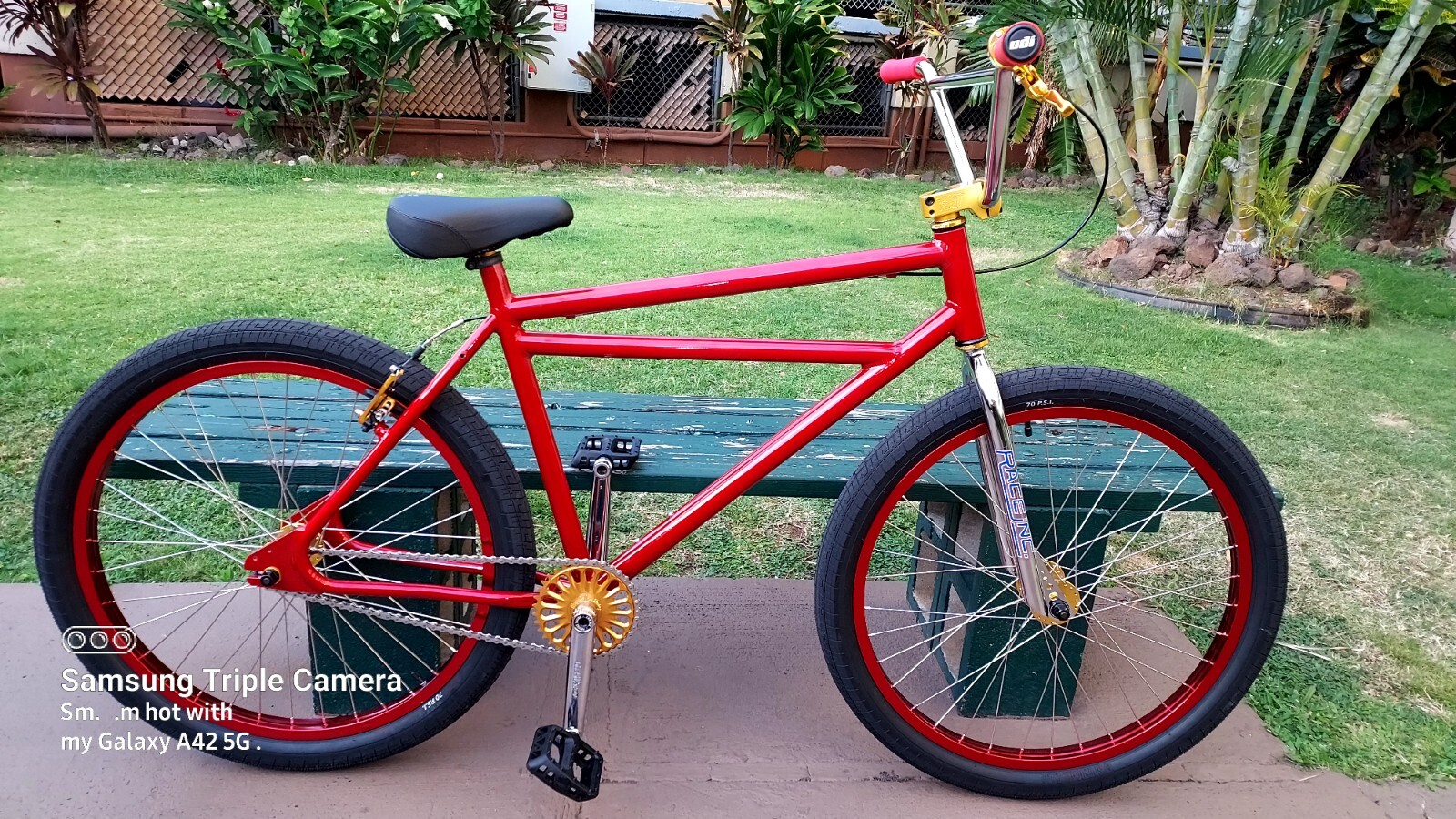 Kona Humuhumu Nukunuku Apua'a | eBay