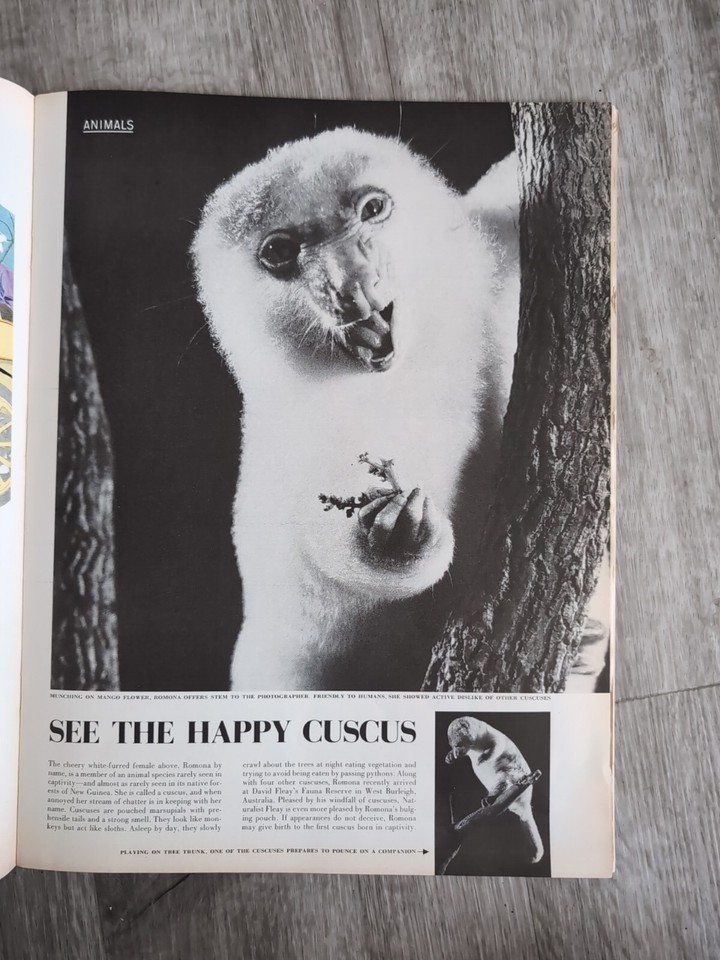 Life Magazine, August 29th 1960, Richard M Nixon Writes About National ...
