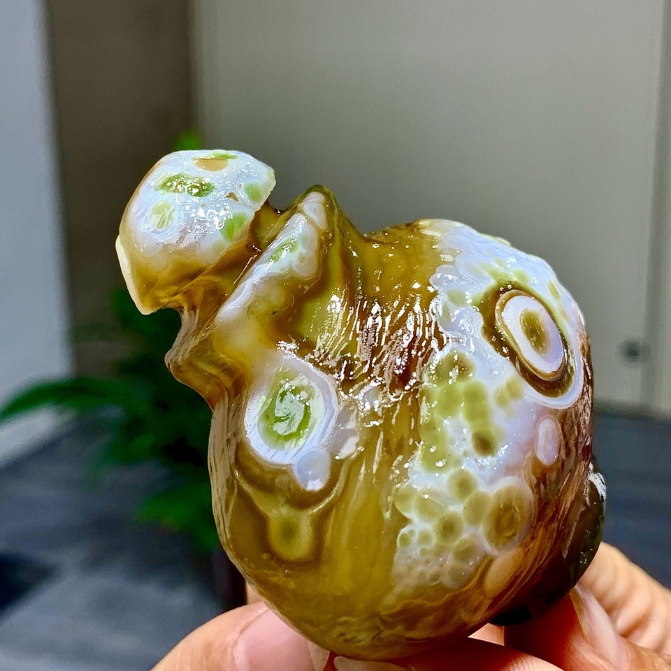 143G Top natural Gobi agate eye agate/stone carved pot Madagascar | eBay