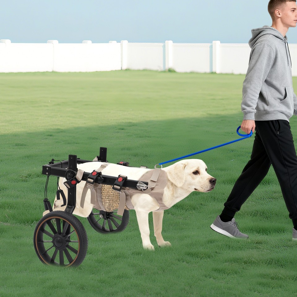 Adjustable Dog Wheelchair for Hind Legs Support Pet Mobility Aid ...