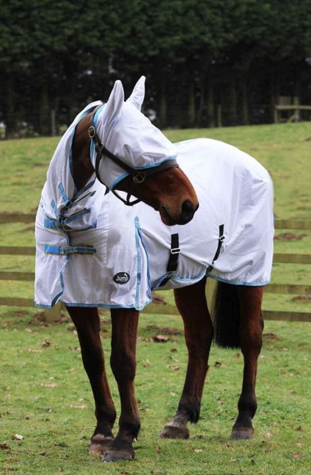 PONY MESH FLY RUG Jump All In One Combo Fly Bug Sheet + Fly Mask and ...