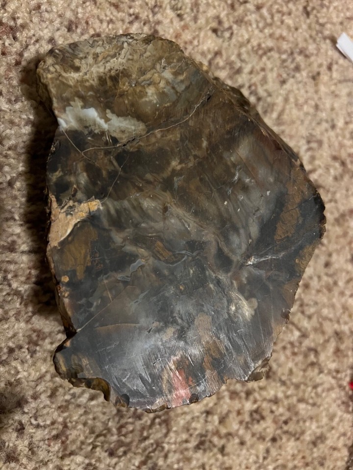 Appears to be a CHERT Rock approx 5"x6x"3" Red Black White Very Cool ...