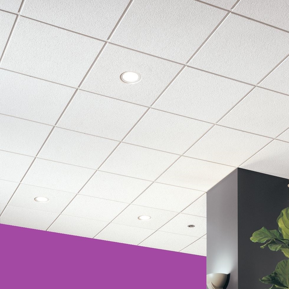 Tegular Ceiling Tile