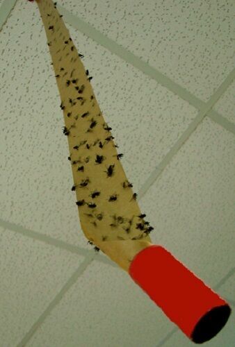 INSECT CATCHERS Pest Bug Wasp Window Fly Poison Killer Tape Paper ...