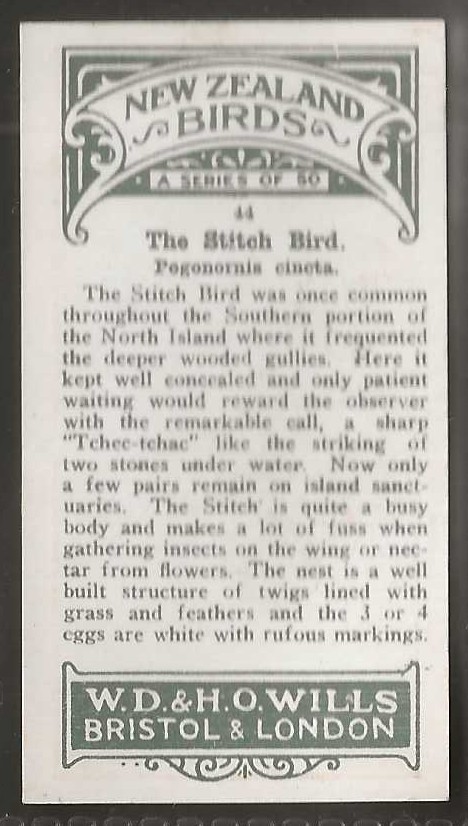 WILLS NZ ISSUE-NEW ZEALAND BIRDS 1925-#44- STITCH BIRD | eBay