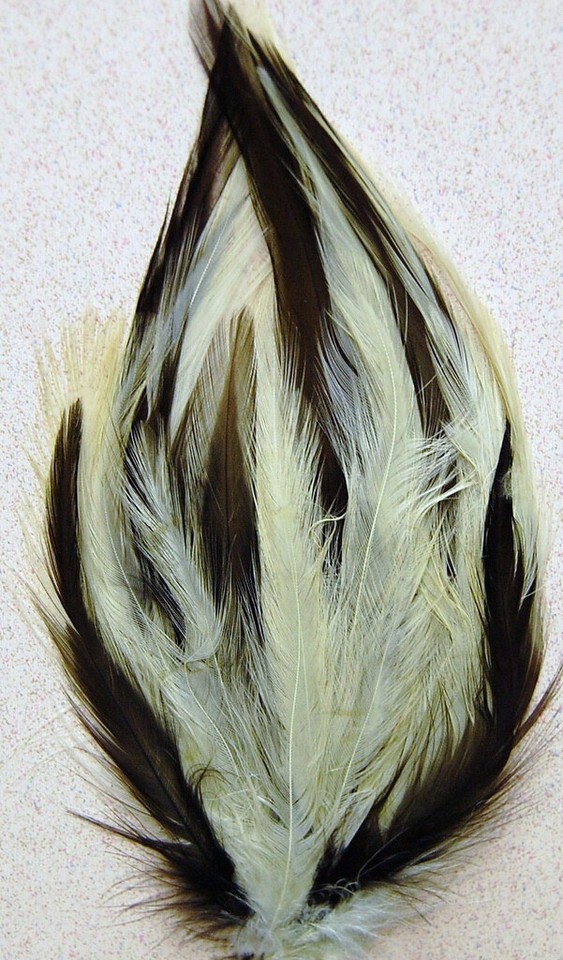 HACKLE FEATHER PADS: 44 Colors To Choose From!! Headbands/Brida l ...