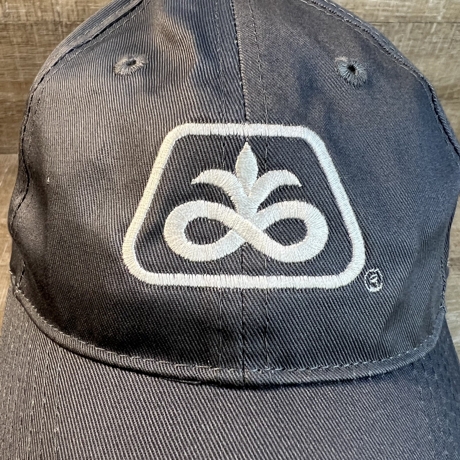 Pioneer Seed Corn Logo Farming Ag Hat Dad Ball Cap Ad… - Gem