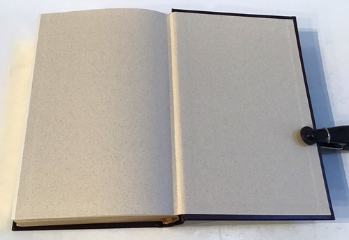 HOMER, THE ILIAD and THE ODYSSEY Book Leather Gold Gilded Pages, Vtg | eBay