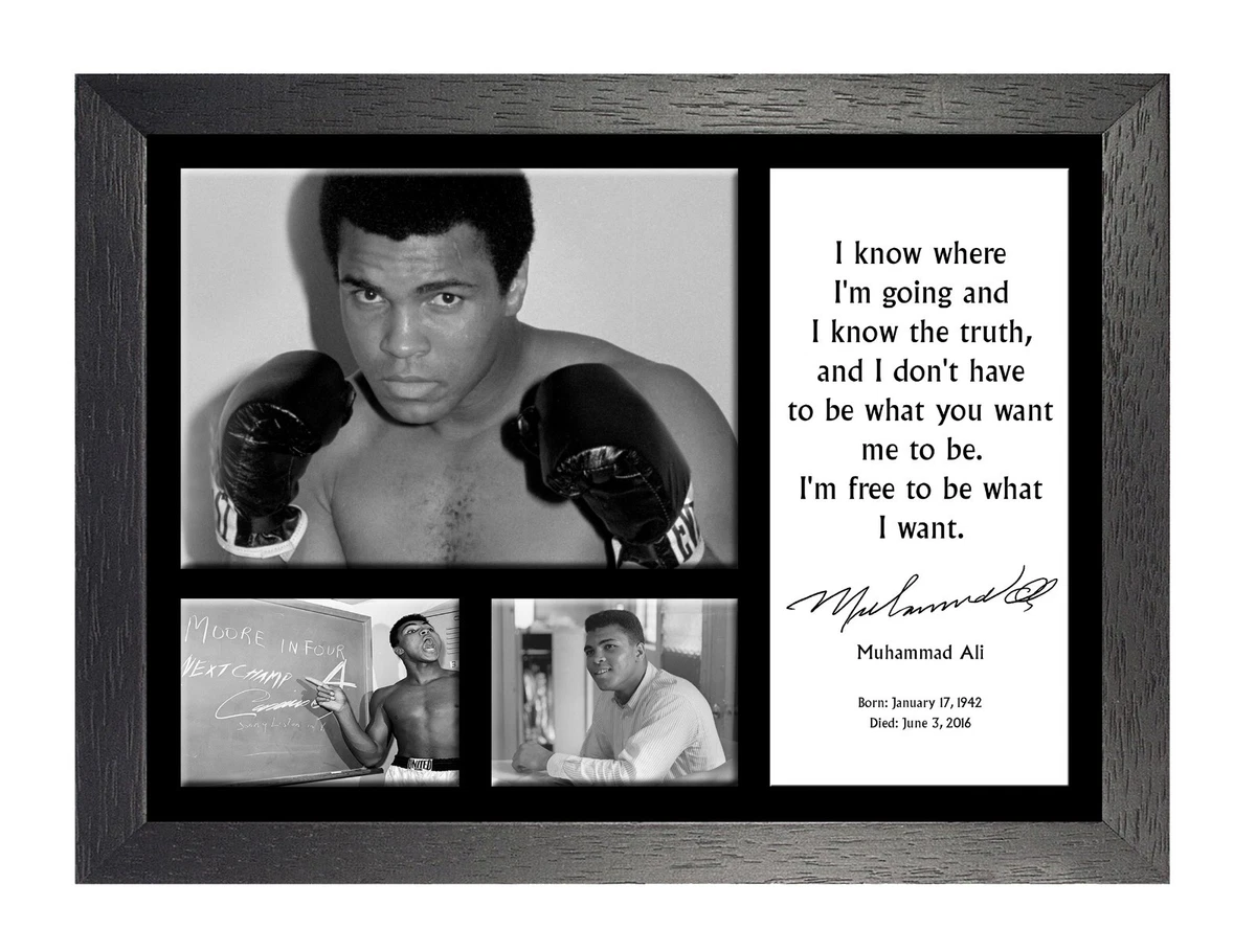 Muhammad Ali Definition