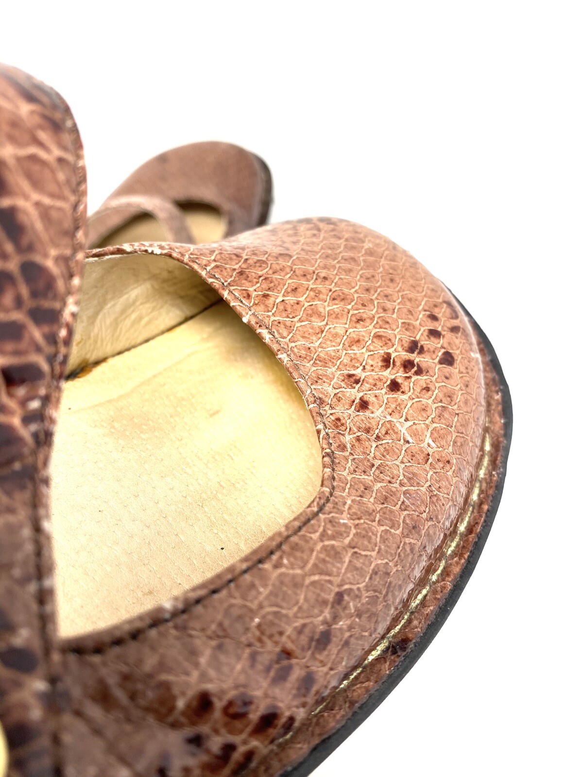 Alegria Paloma Snake Print Mary Janes Women’s Size 5.… - Gem