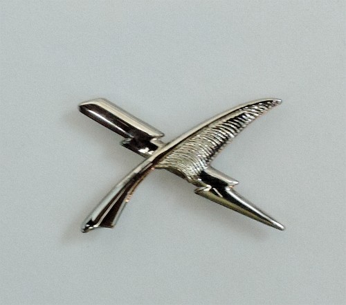 U.S. Navy Cryptologic Technician, (CT) Ball Cap Pin | eBay