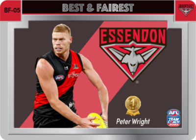 2023 Teamcoach AFL Best and Fairest Silver BF-05 Peter Wright Essendon ...
