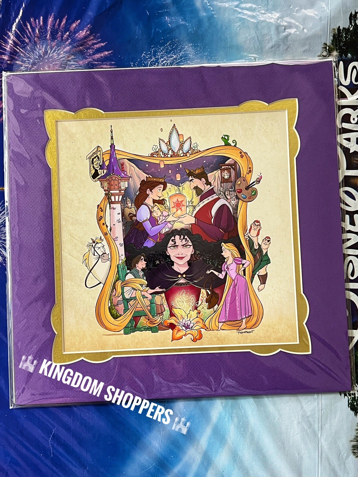 2023 Disney Parks Rapunzel “Gleam and Glow” Print 14x14 Steve Thompson ...