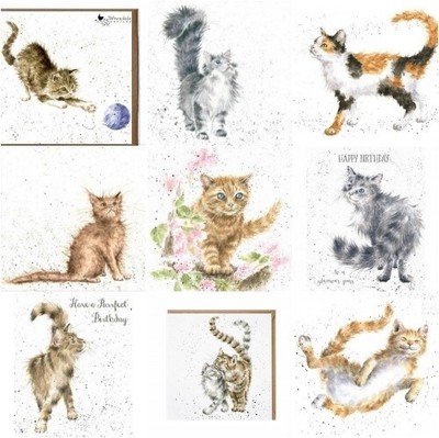 Wrendale Greeting Card Cat Cats Kitten | eBay
