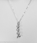 DNA Structure Double Helix Lab Science Geek 24" Chain Necklace Pendant ...