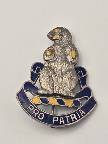 Vintage Army "Pro Patria" 31st Infantry Regiment, DUI, Left Facing ...
