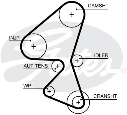 Timing Belt & Water Pump Kit KP15656XS Gates Set 1613561980 71775923 ...