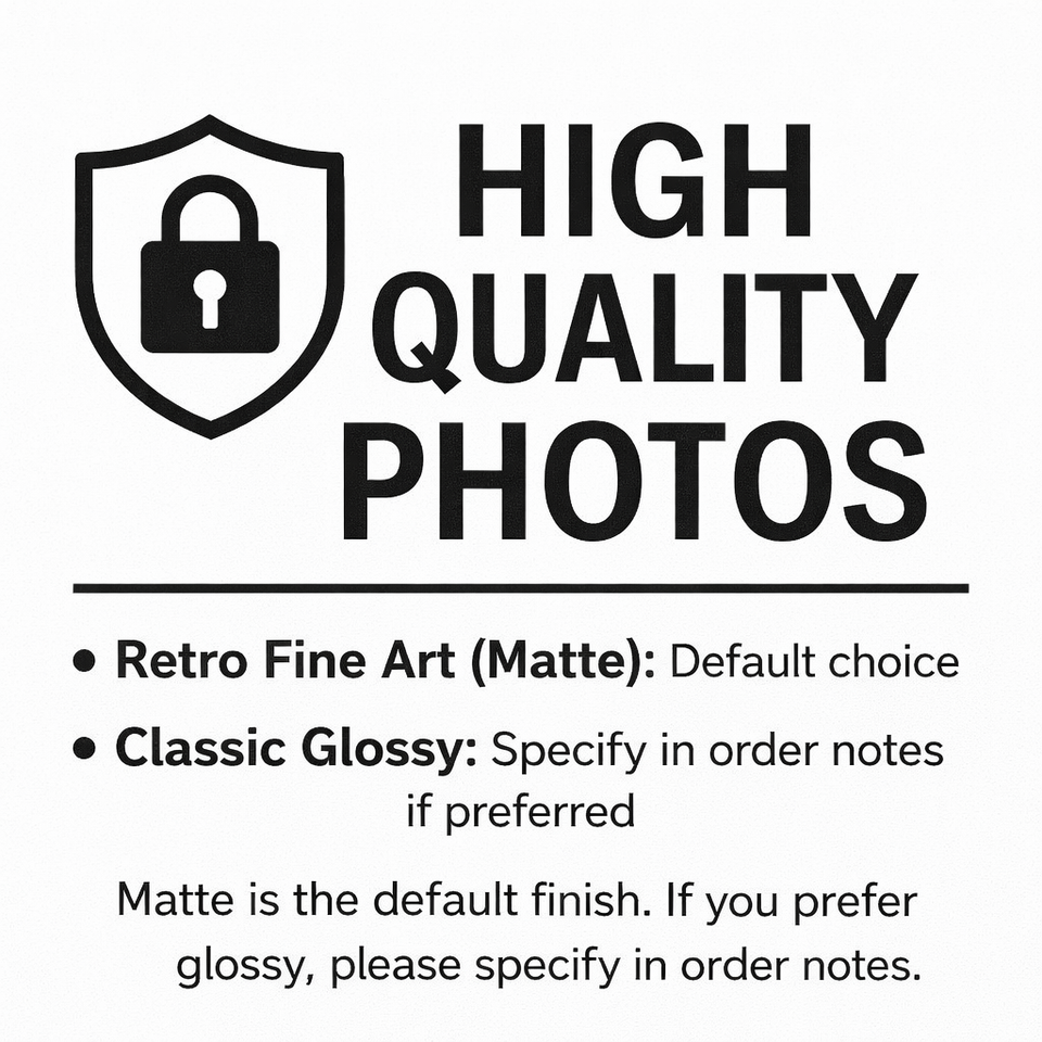 4 X 6" Model Photo Studio Size Smoldering Pinup Pose Sensual Starlet ...