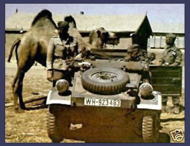 Volkswagen at War The Kubelwagen German Jeep | eBay