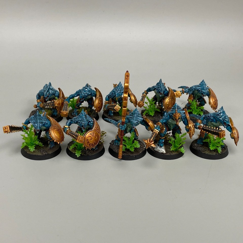 1 LIZARDMEN SERAPHON ARMY/FORCE WARHAMMER AOS PAINTED SAURUS KROXIGOR ...