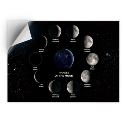1 x Vinyl Sticker A5 - Moon Phases Space Planet NASA #8145 | eBay UK