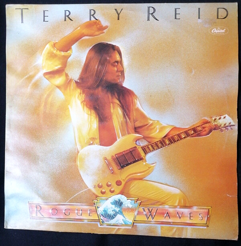 Terry Reid – Rogue Waves LP Album VG+/VG | eBay