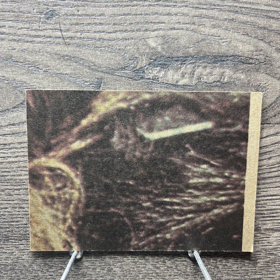 1977 Topps Star Wars #113 Ben hides from Imperial stormtroopers! | eBay