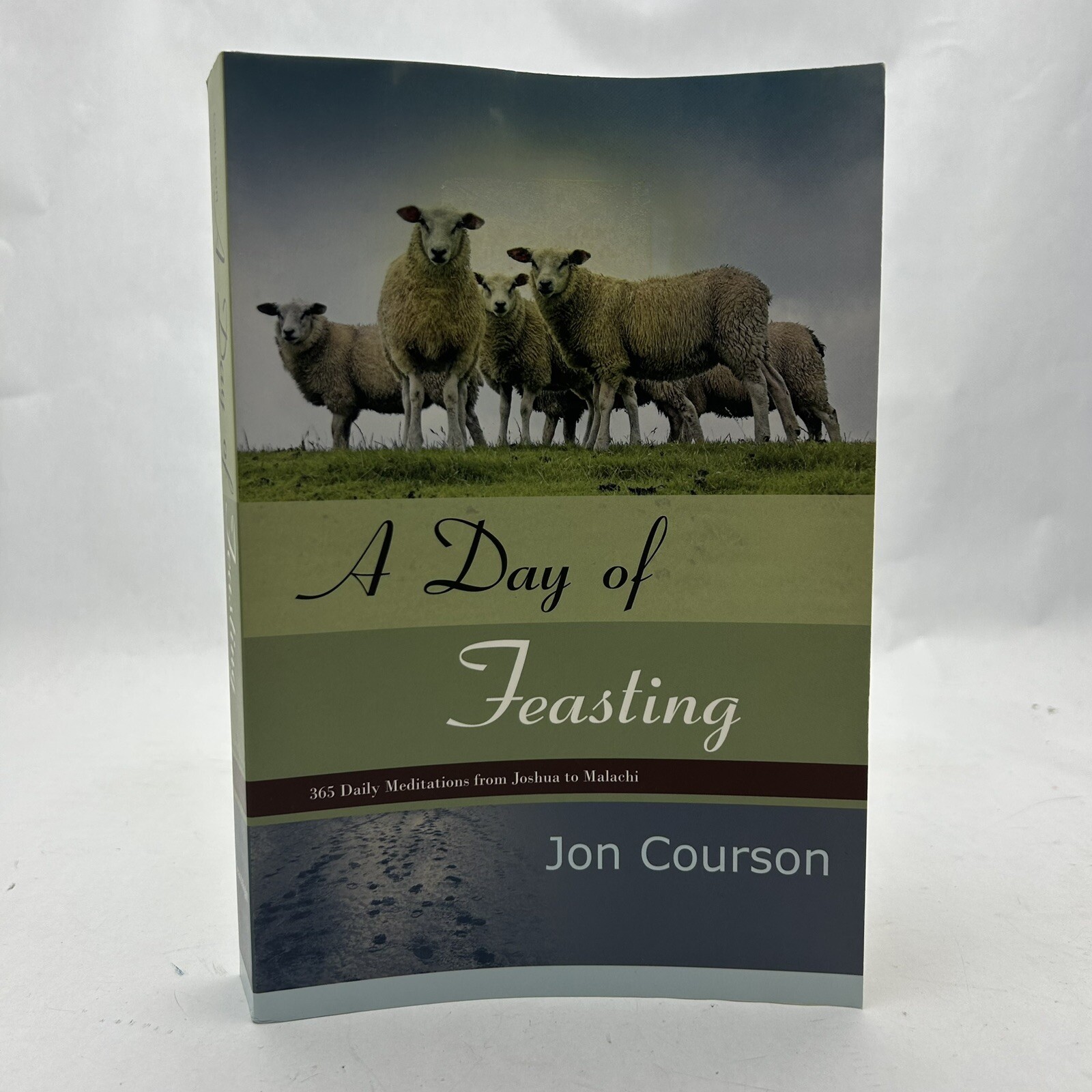 Day of Feasting by Jon Courson (2014, Trade Paperback) for sale online ...