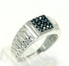 Sterling Silver Round Enhanced Blue Diamond Sculpted Step Shank Band ...