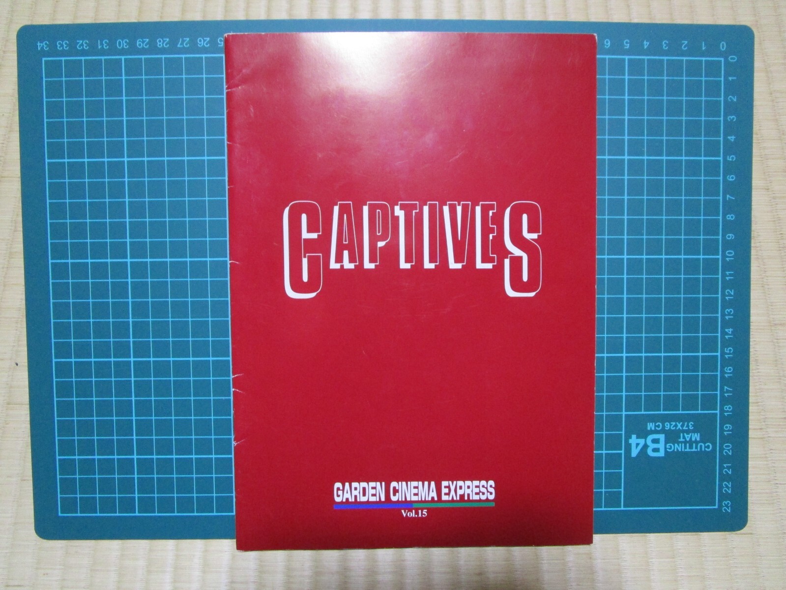 Film "Captives" Angela Pope Tim Roth Julia Ormond Movie Program ...