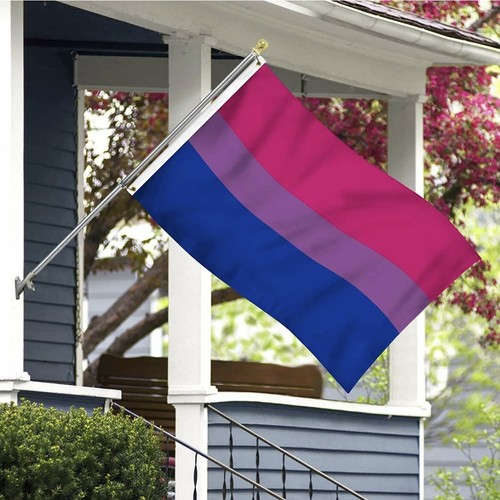 3x5Ft Bisexual Pride Polyester Flag Bi Flag LGBTQA+ 2 Metal Grommets ...
