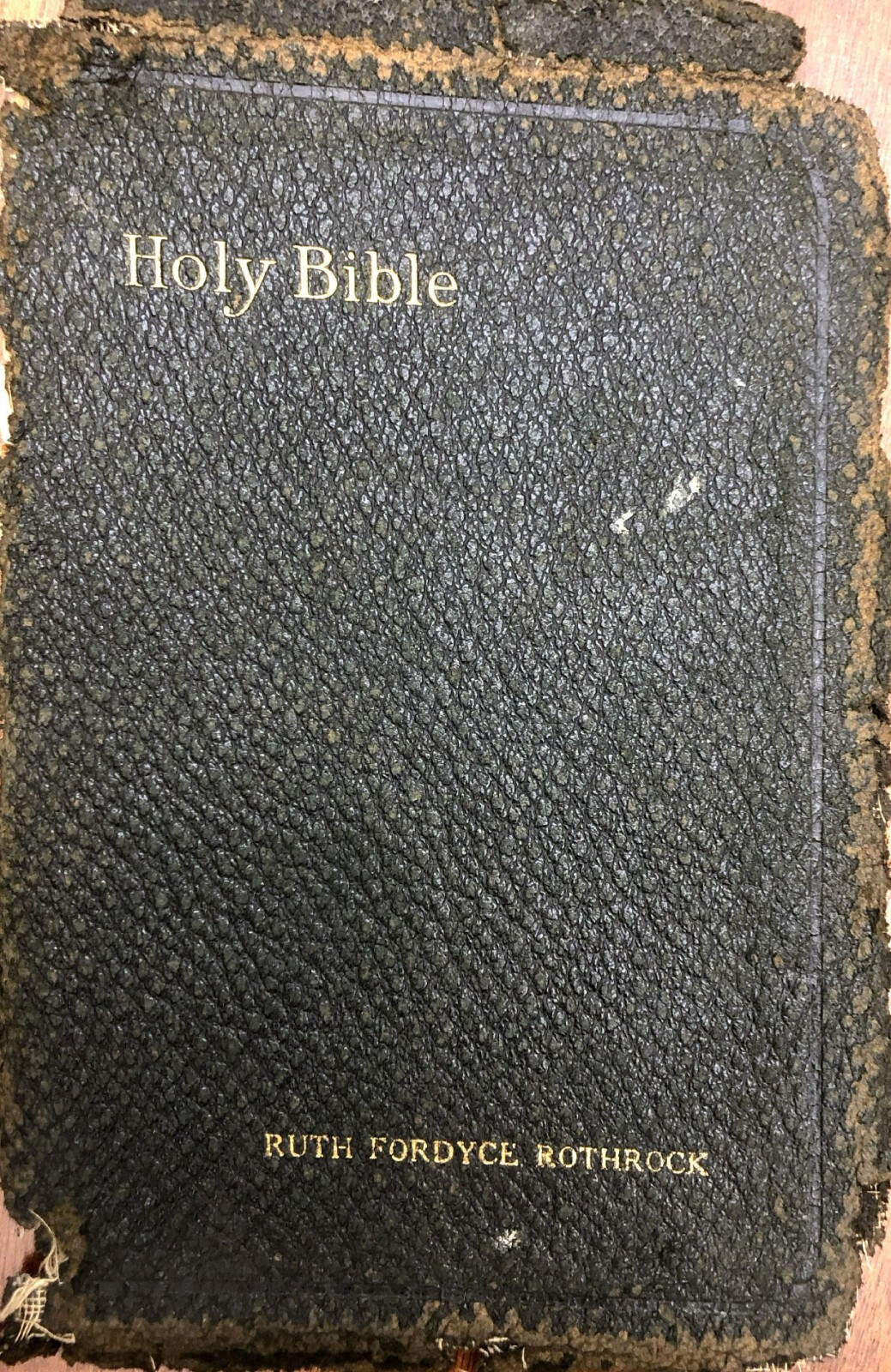 Rothrock Family Bible (Bible Rescue #754) | eBay