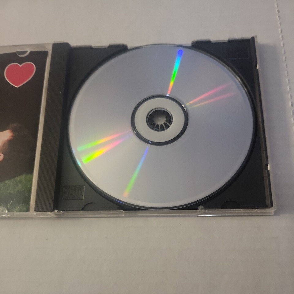 Afternoon Delight Love Songs from Sub Pop Sebadoh Vaselines CD ...