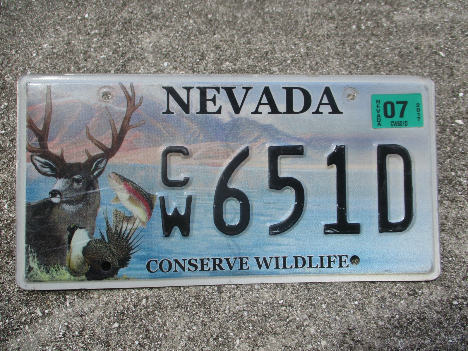 Nevada 2017 Wildlife DEER license plate # 651D | eBay