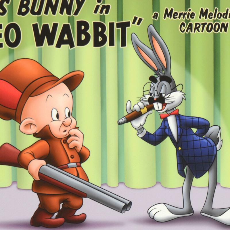 Looney Tunes "Wideo Wabbit" Numbered Limited Edition Animation Art COA ...