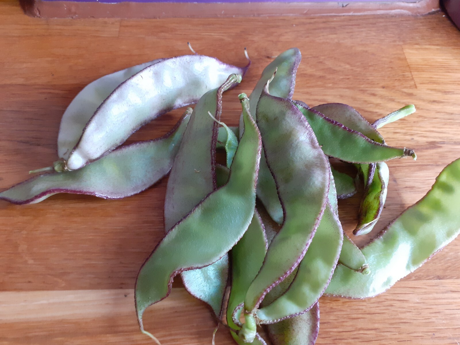 Shim Uri 5 SEEDS - BUY 2 GET 1 FREE Bangladeshi Vegetable Lablab ...