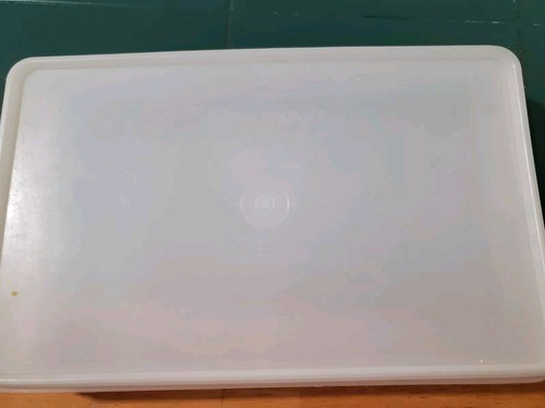 Vtg. Tupperware Sheer 794-1, 795-2 Deli Meat/Bacon/Snack Keeper 11x7x2 ...