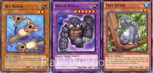 Yugioh Koalo-Koala + Tree Otter + Sea Koala - Fusion Set | eBay