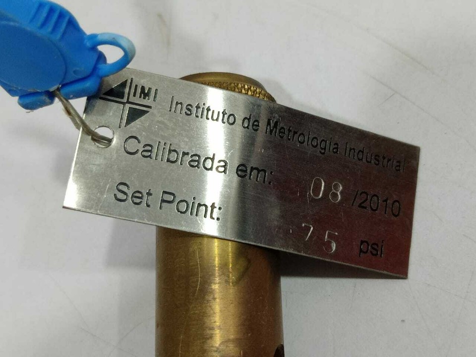 TUV SV-02-893 75PSI Seetru Bristol UK50 MM2 0038 Relief Valve | eBay ...