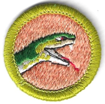BSA REPTILE STUDY 'SNAKE' MERIT BADGE Discontinued Design TYPE H ...