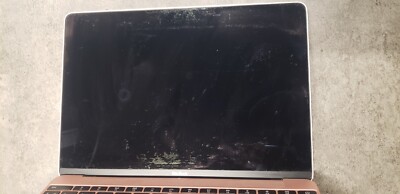 Apple MacBook Retina A1534 Genuine LCD Display Assembly - Rose Gold ...