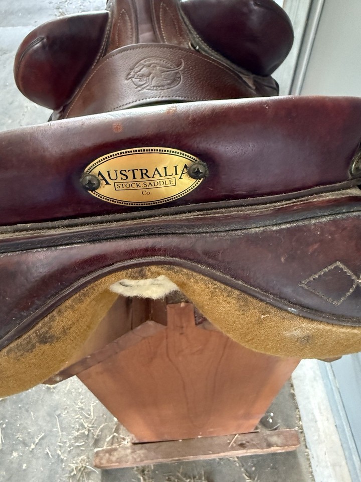 Australian stock Saddle Co 15” Authentic Australian Saddle | eBay