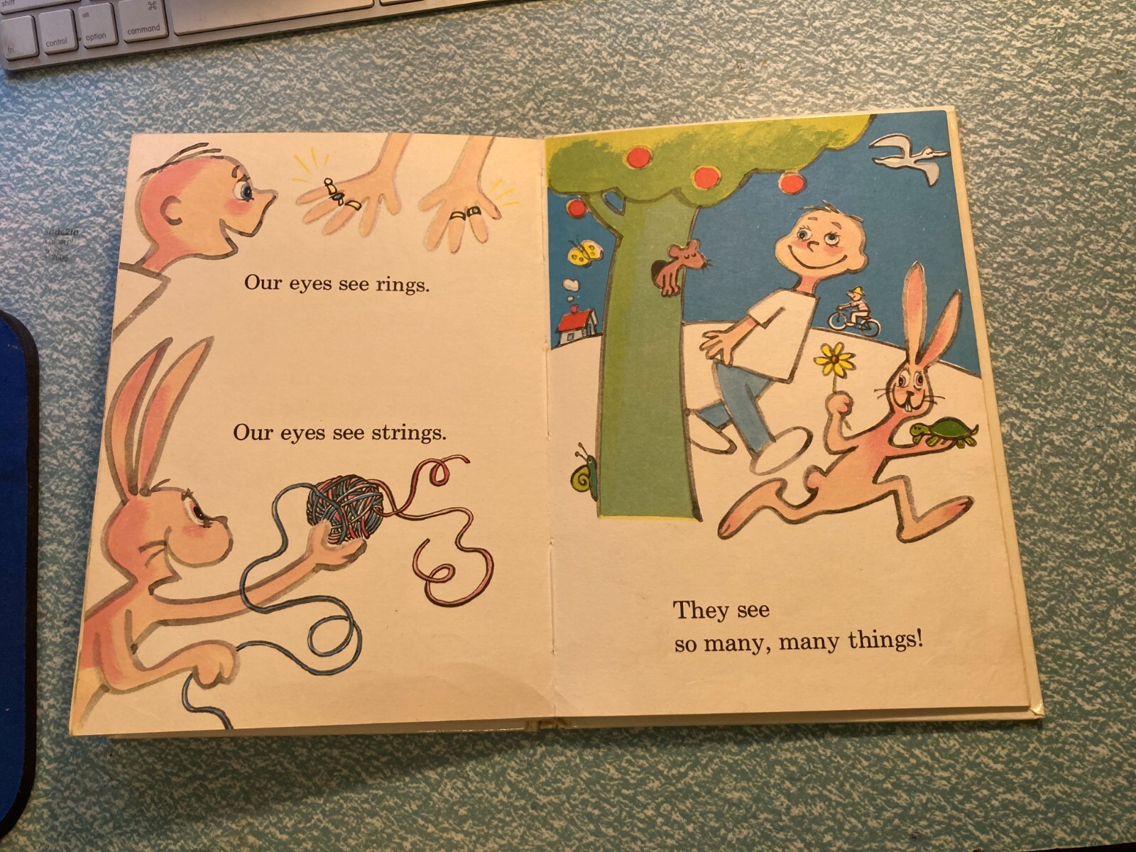 the eye book / theo. lesieg (seuss) & roy mckie HB BB -1 | eBay