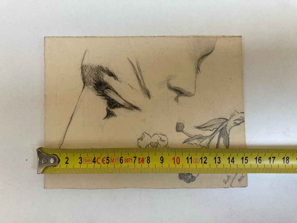 Drawing Mine Lead Face Nose Eye Mouth Xixth Portrait 1880 Flower ...