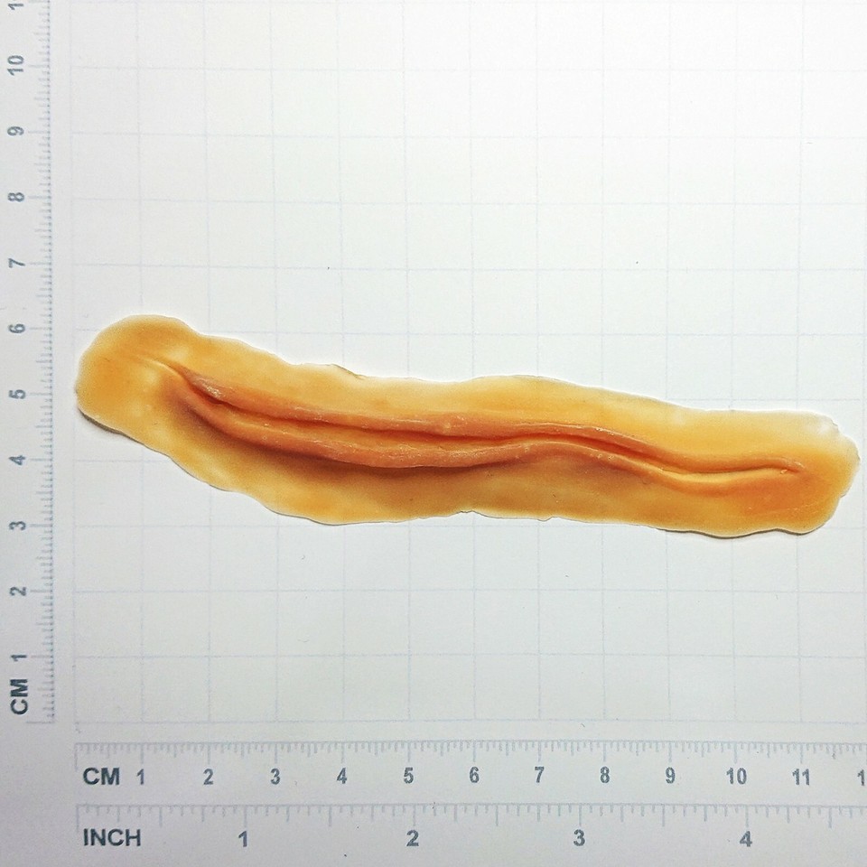 Slit cut slash stab wound! #3 Deep detailed latex fake scar UK costume ...