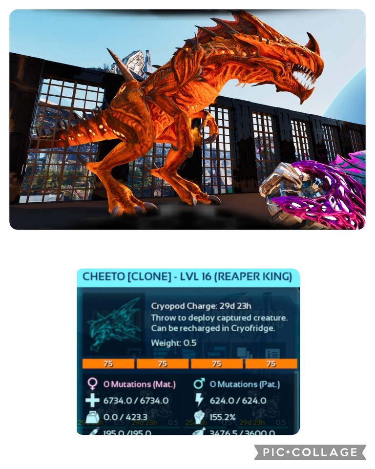 ark survival ascended pve SOLID ID75 REAPER CLONE | eBay