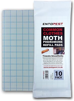 Entopest 10 Pack Pheromone Pads for Common Clothes Moth - Replacement ...