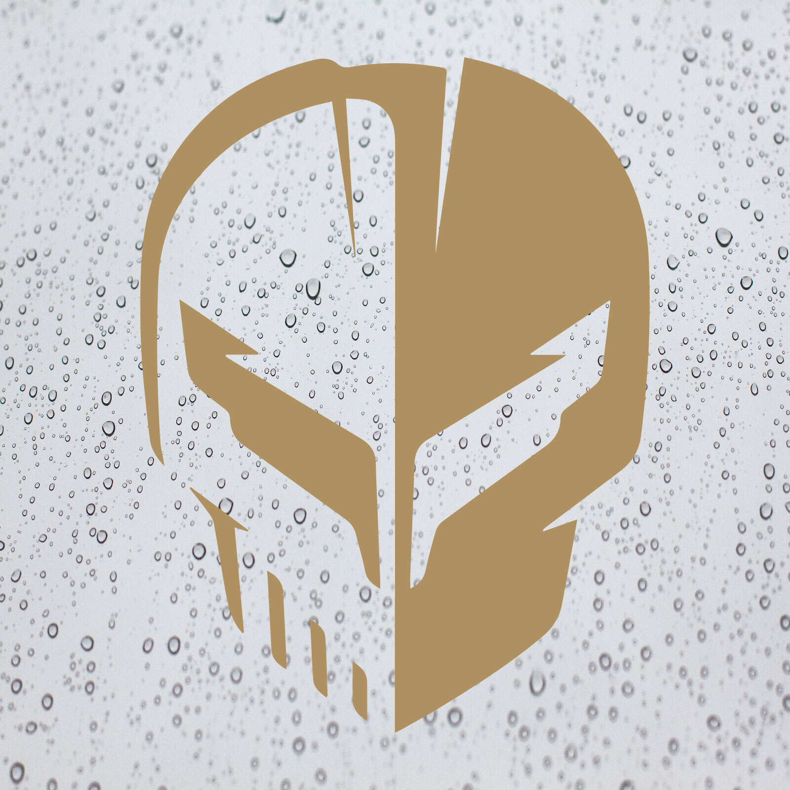 C8 Jake Skull Decal Vinyl Sticker for Corvette Racing Stingray Cars | eBay