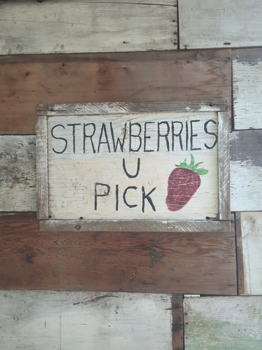 primitive farm sign Strawberries Fruit Upick | eBay